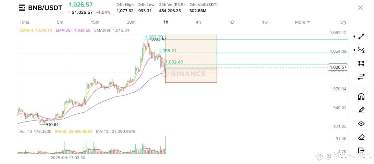🔥 $BNB vs The Market: Can Binance Coin Defy the Bear Trend | MeowAlert ...