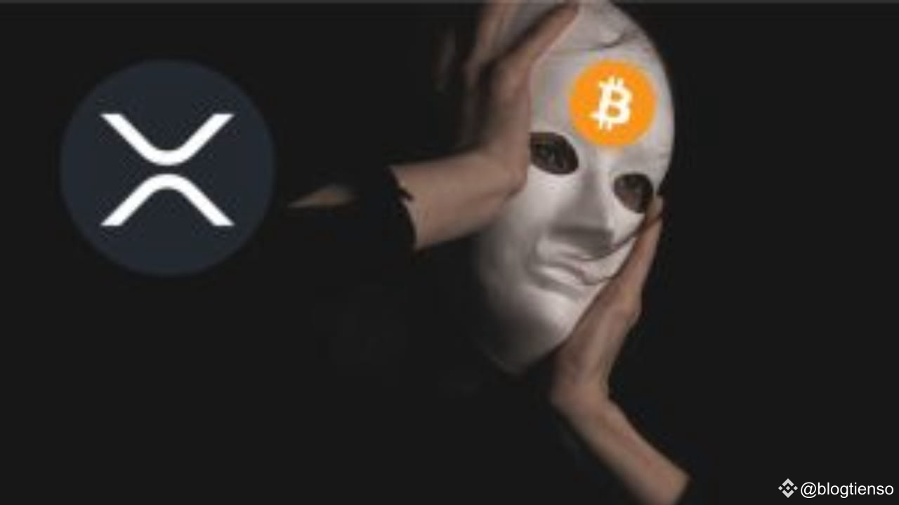 What Bitcoin Founder Satoshi Nakamoto Said About Ripple | blogtienso on ...