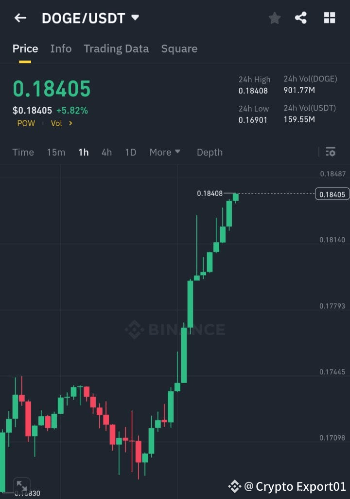 $DOGE /USDT BULLISH BREAKOUT — DOGE SKYROCKETS AS BUYERS DOM | Crypto Export01 on Binance Square