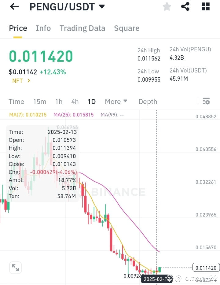 PENGU/USDT Trade Analysis & Signal – February 13, 2025 $PEN | roman_32 on Binance Square