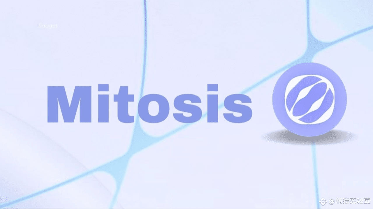 Thread｜Cat's Eye Focus｜Mitosis is fully building DEFI infrastructure ...