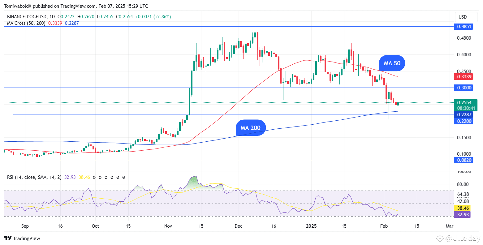 Dogecoin (DOGE) Trading Volume Skyrockets to $2 Billion as Price Roars ...