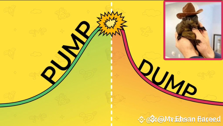 $PNUT 🚨PNUT surged over 4000% within just a few days of its | Mr Ehsan Fareed on Binance Square