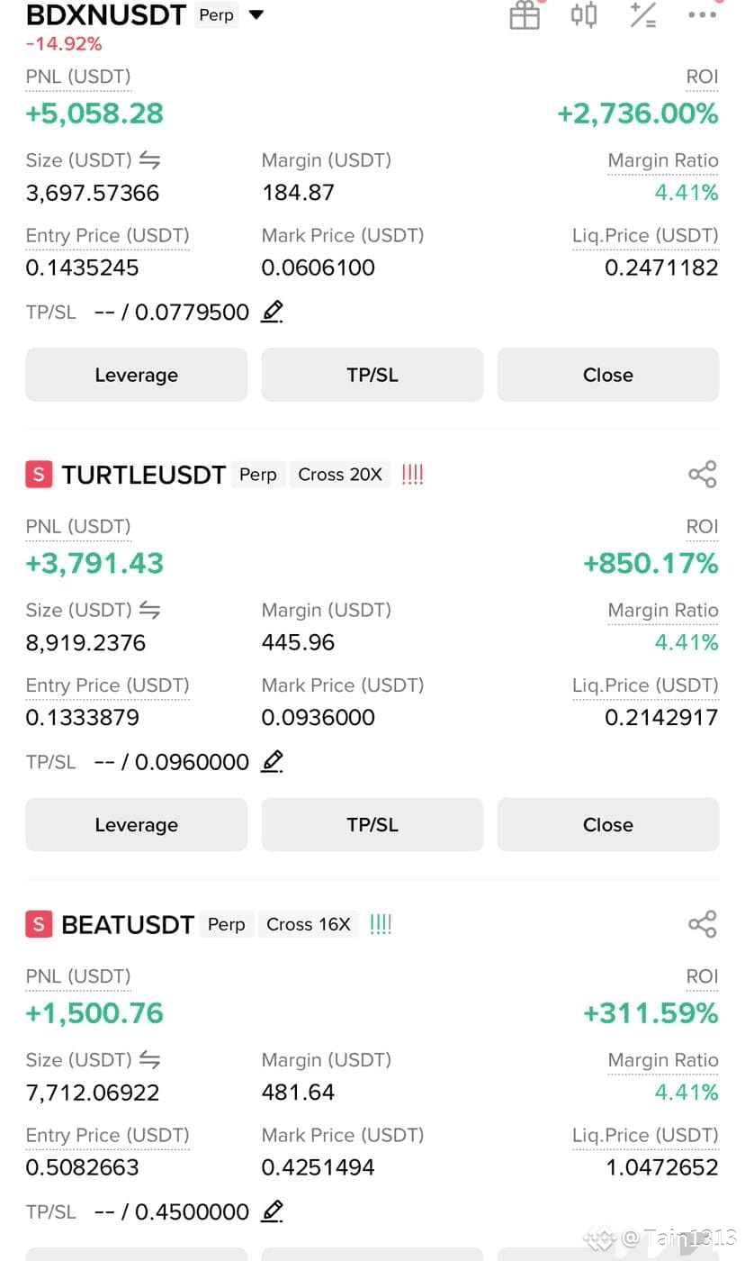 This time i get another 😊 big deal done 😊 $BEAT $TURTLE | Tain1313 on ...