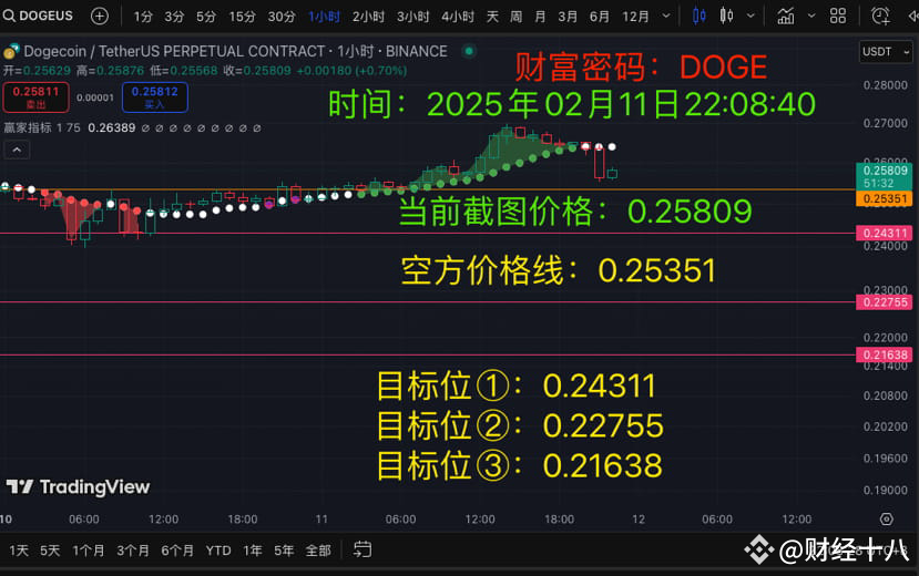 【2025-2-11 Wealth Code: DOGE】 Bitcoin's followers are esse | 财经十八 on ...