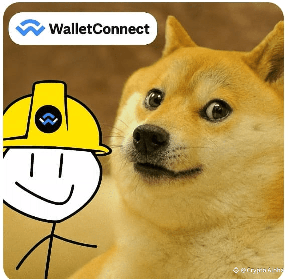 $DOGE $BOB The Meme War No One Expected BOB, you funny | Crypto Alpha ...
