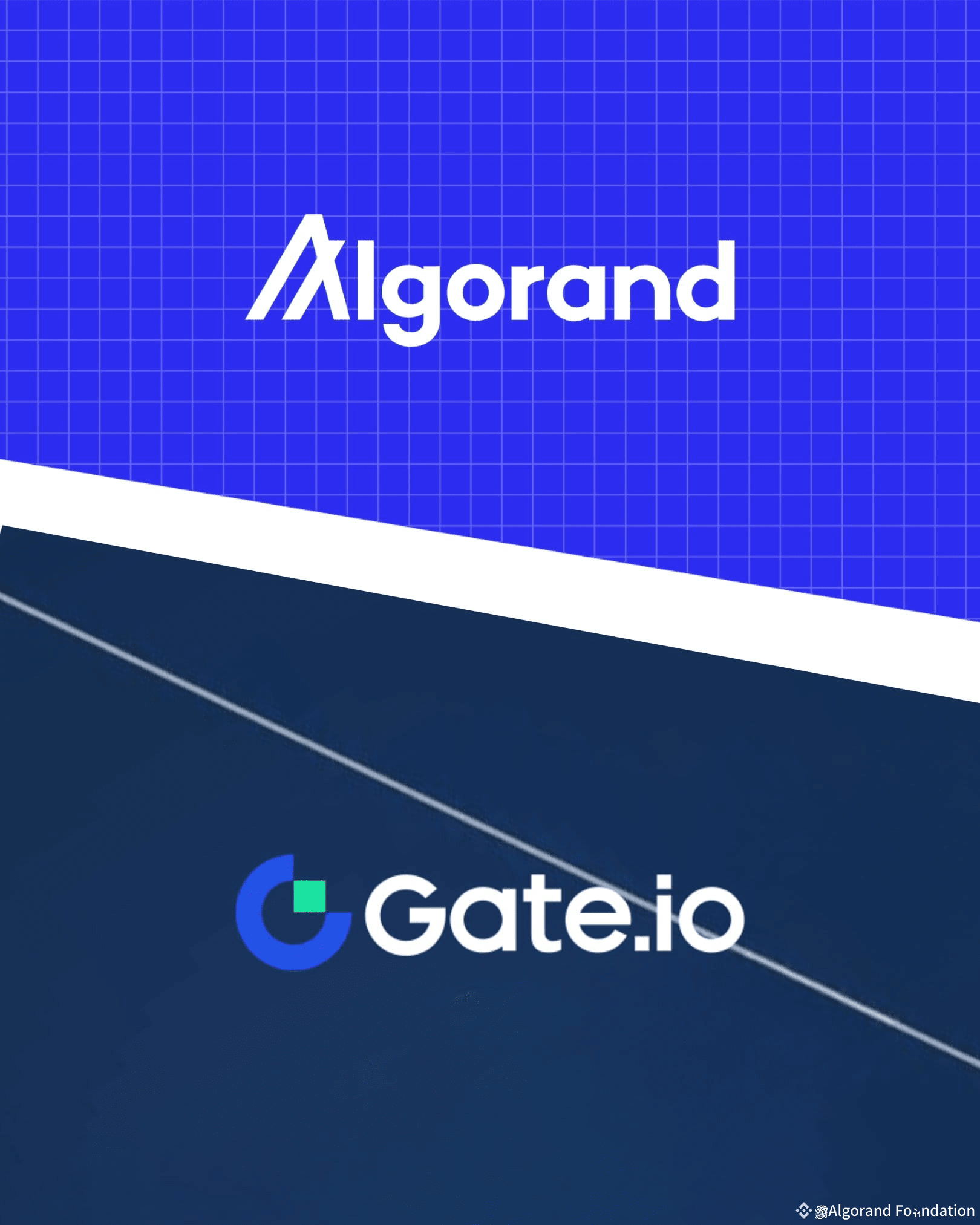 Algorand holders on @Gate_io can now stake their ALGO and ea | Algorand Foundation on Binance Square