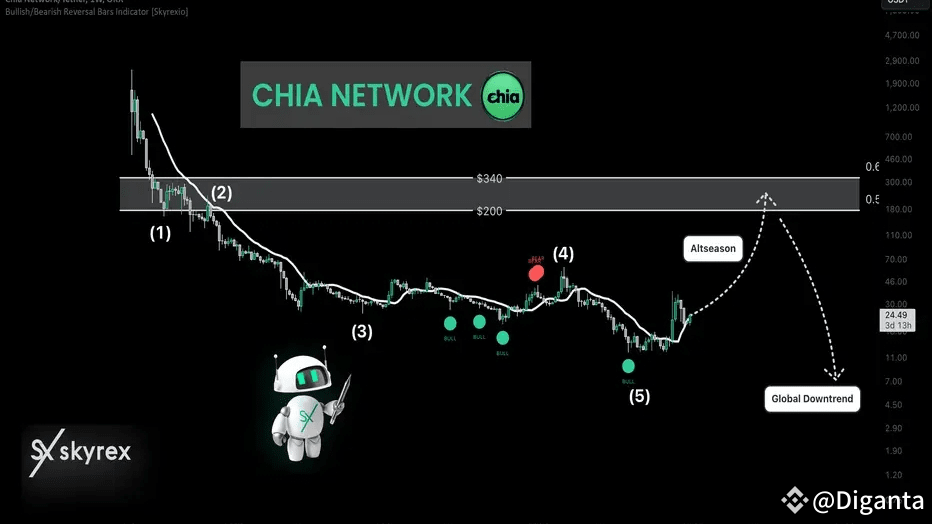 🚀 Chia Network (XCH): Could This Be the Start of a Bull Run? 🚀 ...
