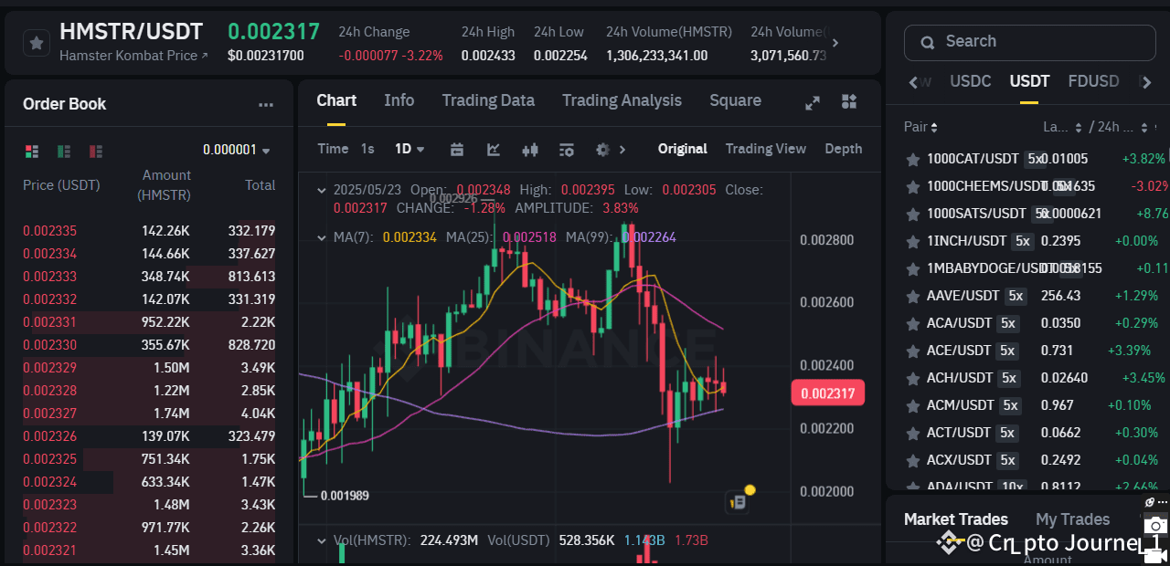 🐹 $HMSTR /USDT Spot Trade Setup – Hamster Kombat Holding th | Crypto Journey1 on Binance Square