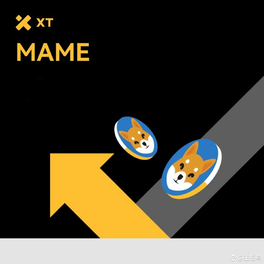 🔥https://t.co/IBJPCosnhd New coins are launched in the Inno | 王短鸟 on ...