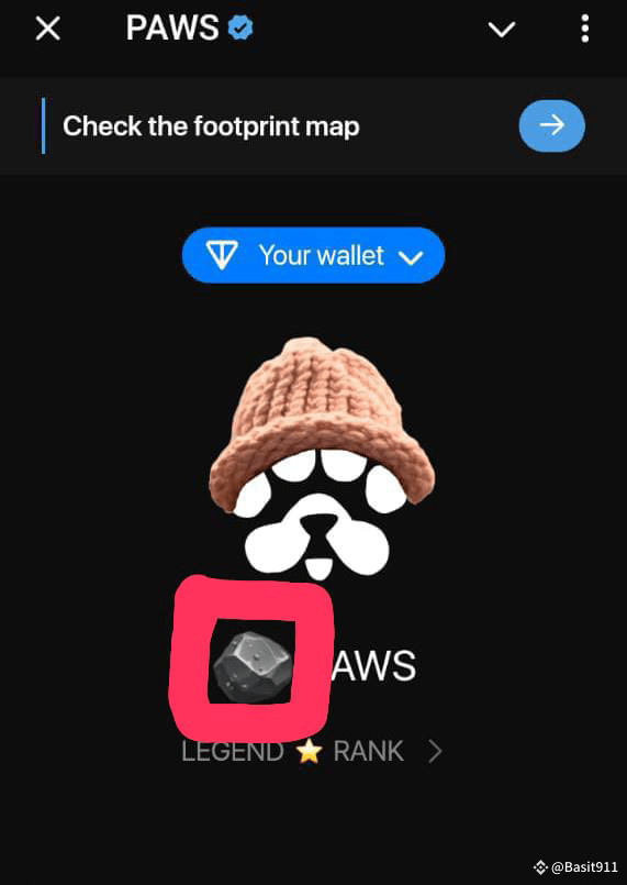 Those who have a rock showing in their paws bot they have no | Basit911 ...