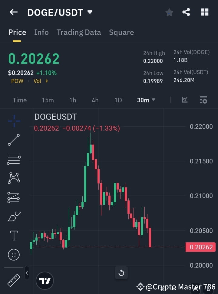 $DOGE /USDT Short Trade Setup! 🔻 💰 Current Price: $0.2026 | Crypto Master 786 on Binance Square