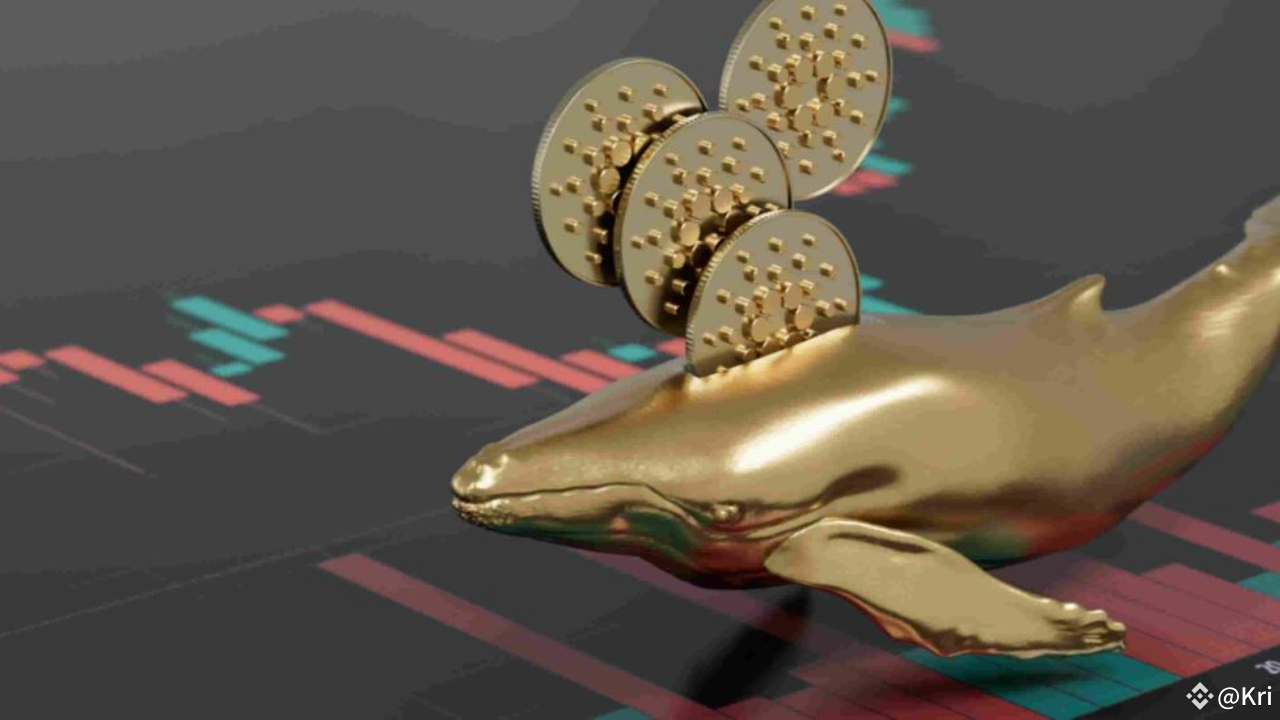 Cardano whales buy over 100 million ADA in 24 hours | Kri on Binance Square