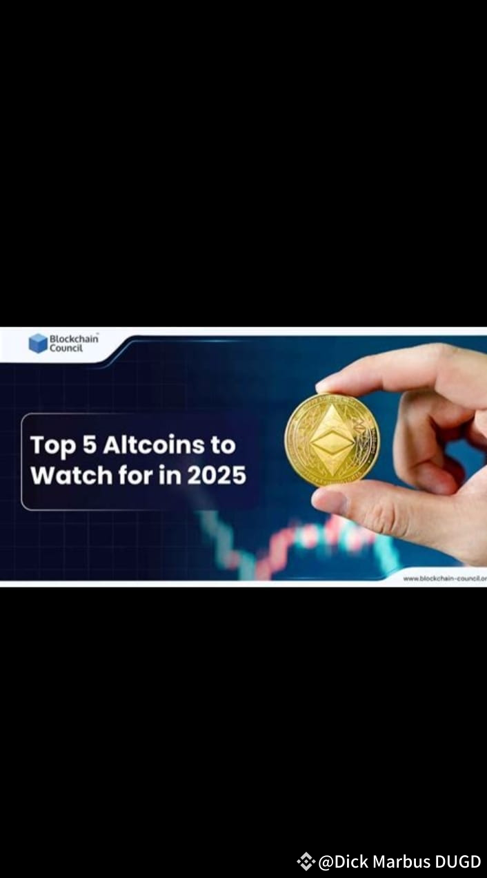 2025 Could Be a Crucial Year for Altcoins Following the #bi | Dick ...