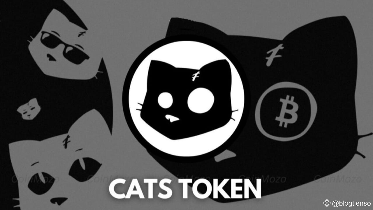 CATS Token Real Price Prediction: Where Will It Go? | blogtienso on ...