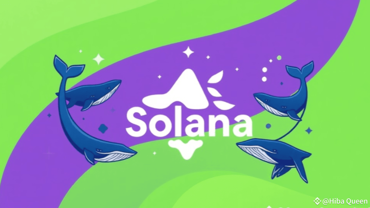 Solana's Recovery After Whale Sell-Off: A Critical Moment | Hiba Queen on Binance Square