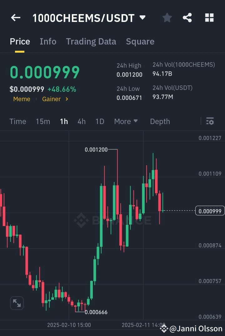 🐶$1000CHEEMS 1000CHEEMS/USDT - MEME COIN SHOWDOWN! 🚀 | Janni Olsson on Binance Square