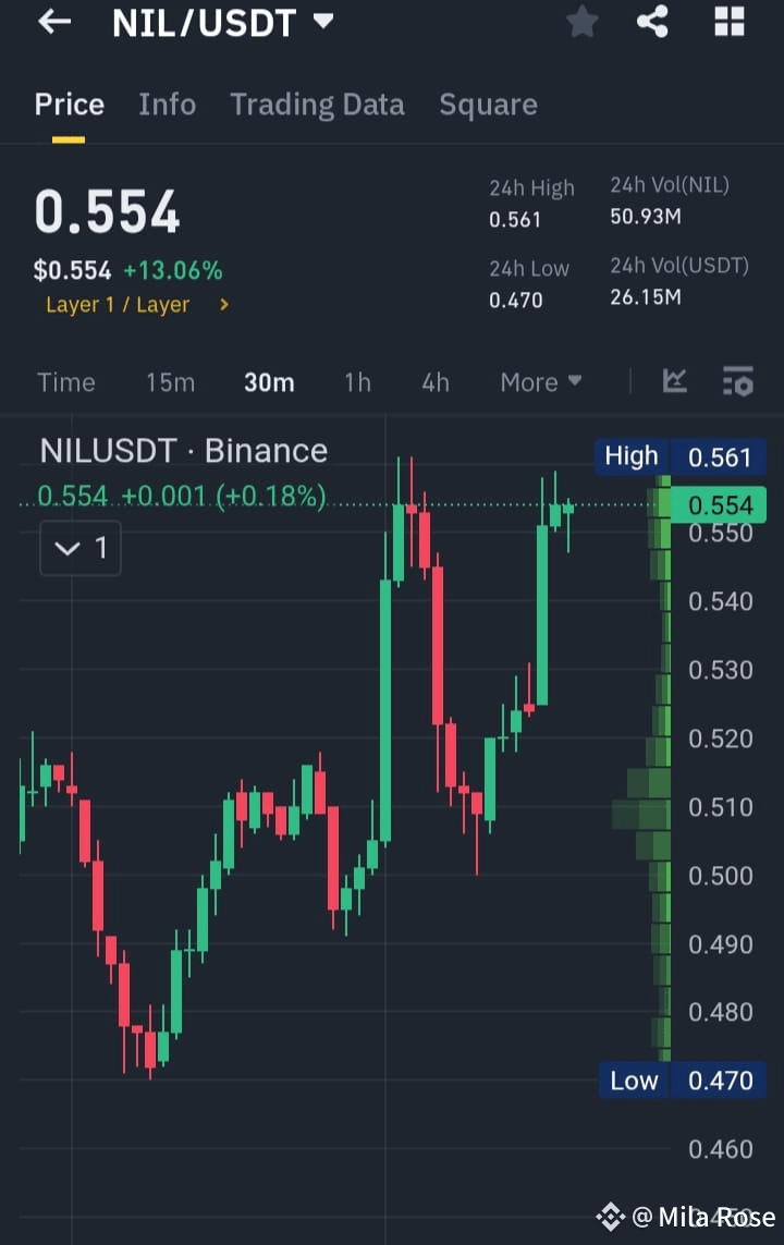 $NIL /USDT Strong Bull Move Loading 💯🚀 Current Price: | Mila Rose on ...