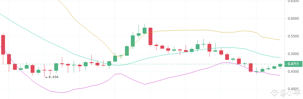 【The Lamb Doubled in October Episode 98: CATI】 CATI is curr | 小羊 on ...