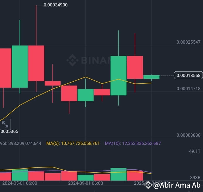 Floki: The Emerging Meme Coin Floki is a new meme-inspired c | Abir Ama ...