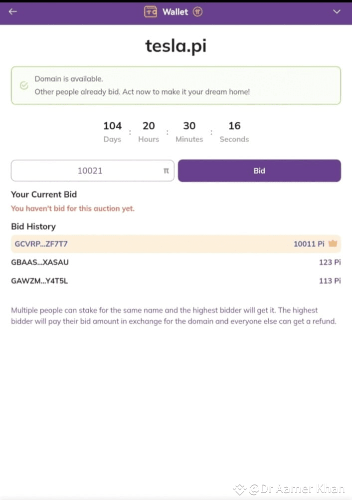 Domain : Tesla.pi The utilization of #Pi coins for biddi | Dr Aamer ...