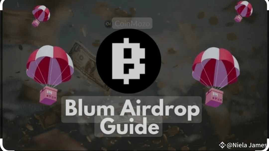 Exploring the Blum Airdrop: Key Details and Insights The highly ...