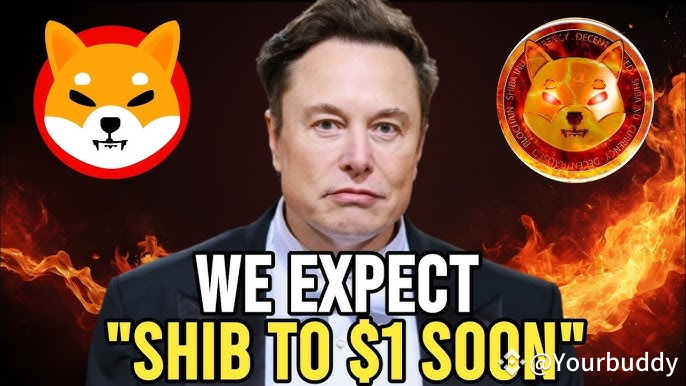 Here’s How Much 1 Shiba Inu Can be Worth if SHIB Reaches a $100B Market Cap . | Expert _Guide on ...