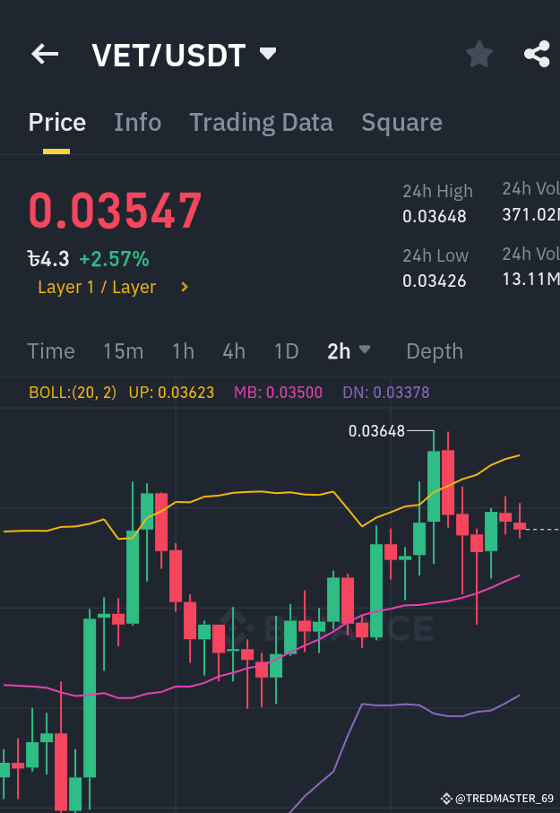 $VET 🚨 Perfect Time to Buy VET Token! 🚨 📉 Market in a Di | TREDMASTER ...