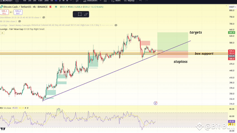 BCH signal update | Bit Bull on Binance Square