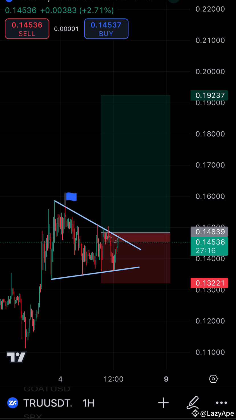 TRU/USDT STRONG BUYING AFTER BREAKOUT | LazyApe on Binance Square