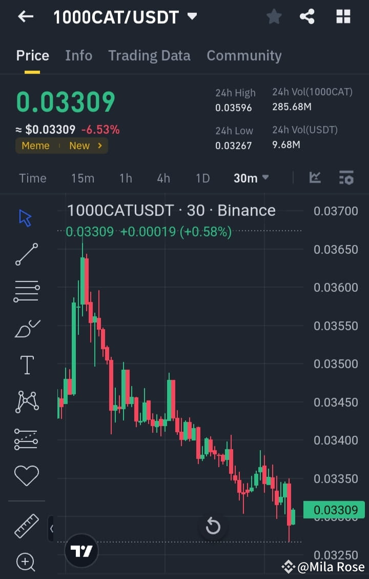 $1000CAT /USDT Slight Dip Move Confirm 💯 💥 Ready for Op | Mila Rose on Binance Square