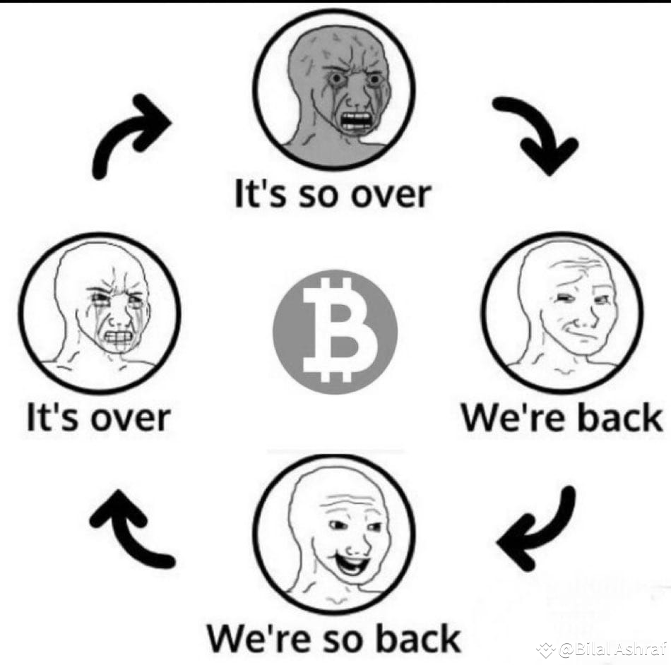 Cycle of every crypto bro. $BTC $ETH #TrumpCryptoOrder #Bi | Bitcoin ...