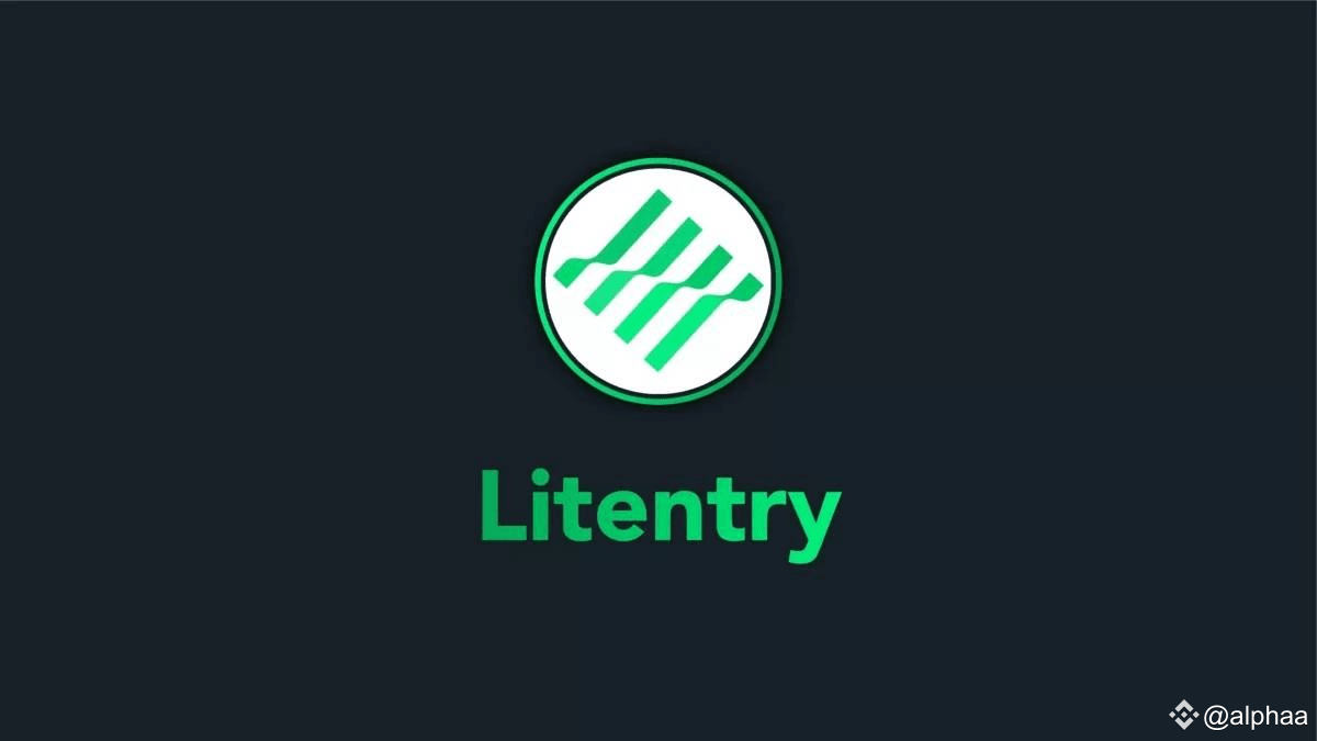 LIT Coin – Illusory Rocket or Opportunity of a Lifetime? 🚀💥 | alphaa on ...