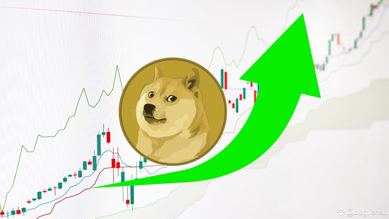 Dogecoin ($DOGE): Signs of Explosion as Whale Activity Hits Record High ...