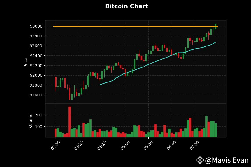 Bitcoin $BTC Hits $93K! What’s next? HODL for long-term | Mavis Evan on Binance Square