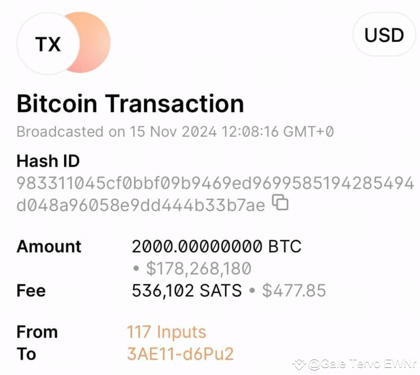 Satoshi is alive and moving 2000 BTC!? | Gale Tervo EWNr on Binance Square