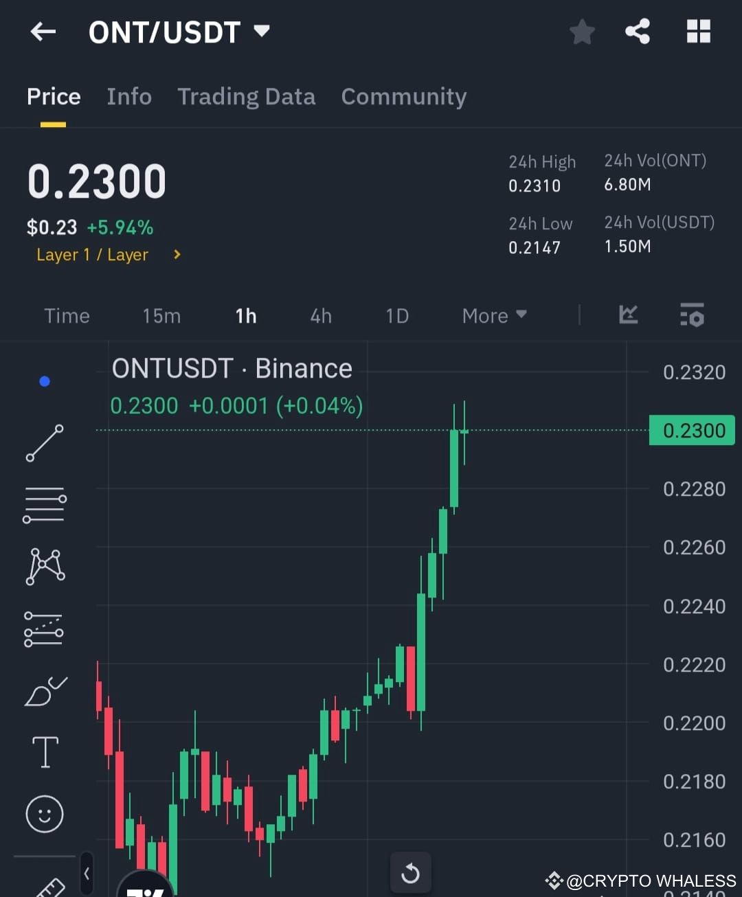 $ONT /USDT: Bullish momentum is increasing! $ONT trading | CRYPTO WHALESS on Binance Square