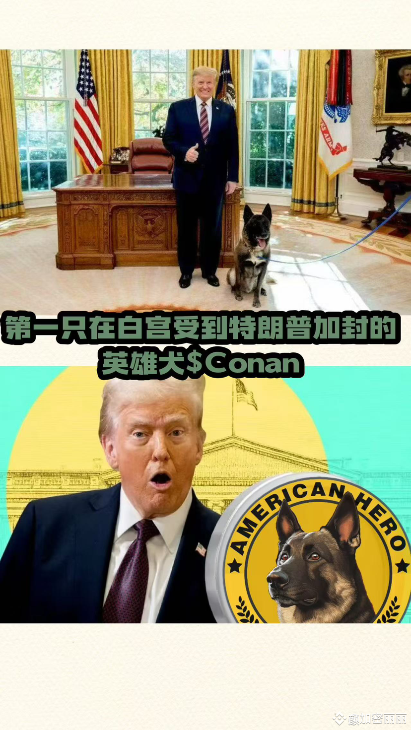 $RARE $ENA $SHELL The principal is not much, you can take a | 加密丽丽 on ...