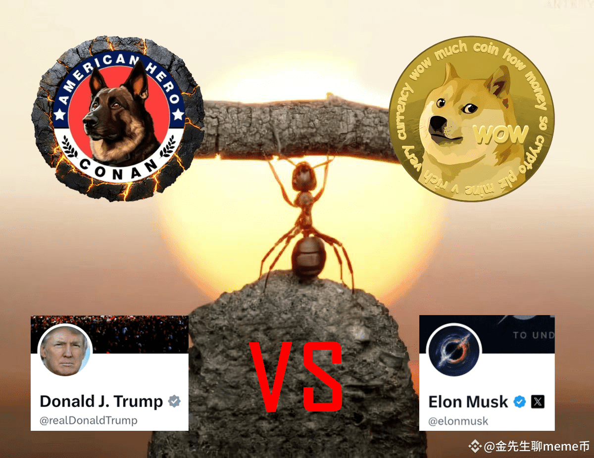 $LTC Attention #特朗普概念币 Dogecoin Co Nan strength breakthrou | 金先生聊meme币 ...