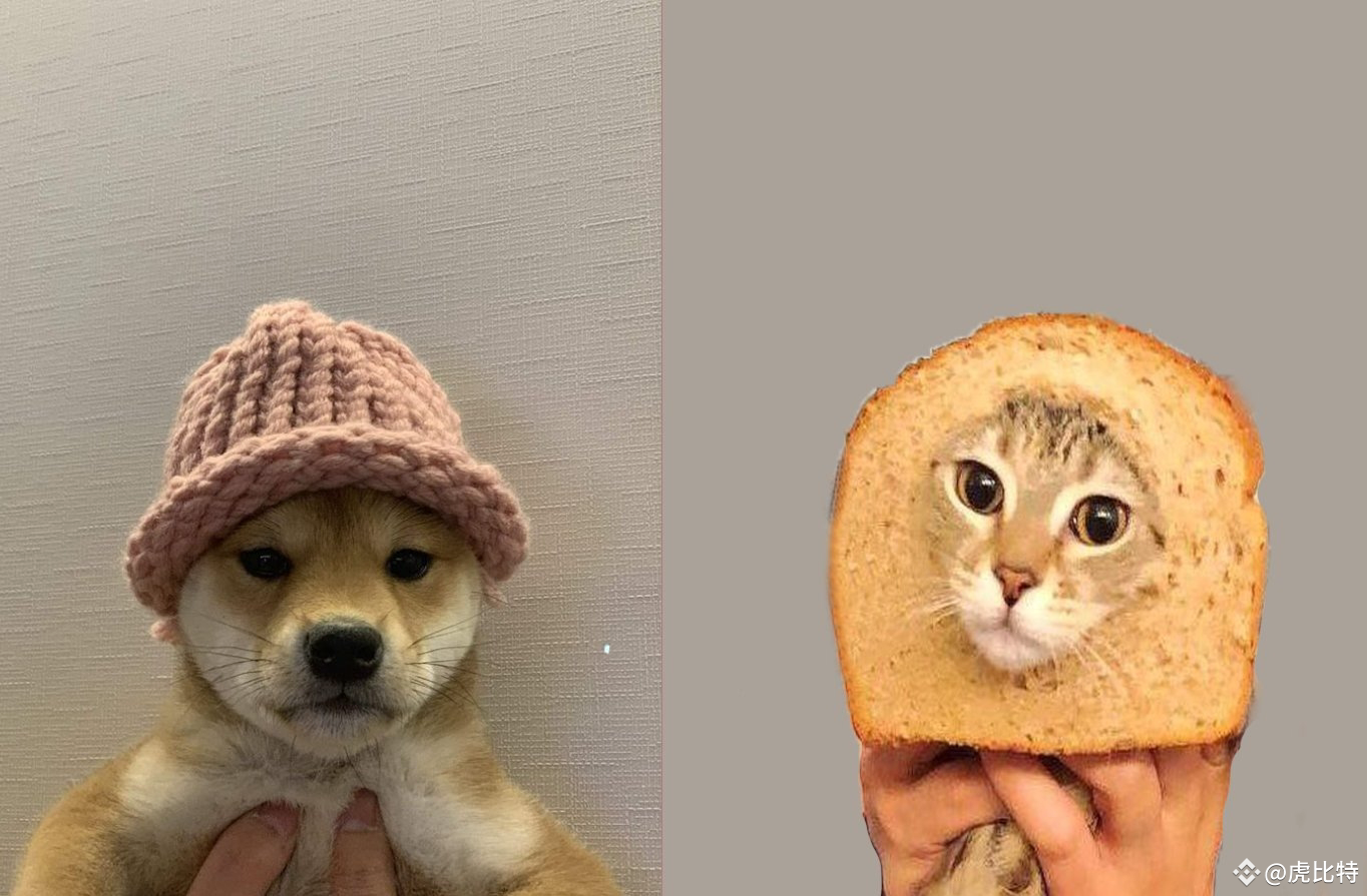 Some people like to play short-term meme, while others prefe | 虎比特 on ...