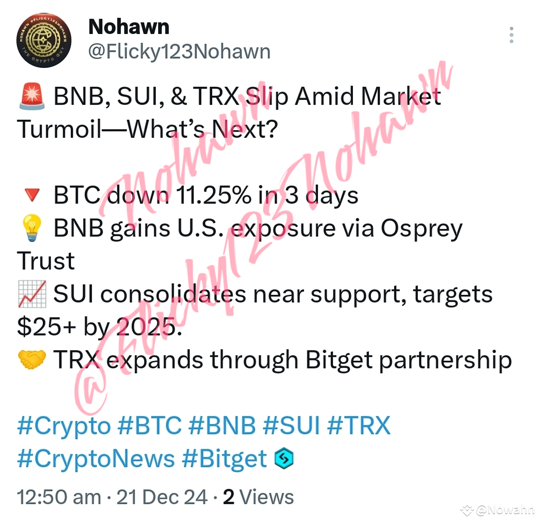 🚨 BNB, SUI, & TRX Slip Amid Market Turmoil—What’s Next? 🔻 | Dr Nohawn on Binance Square