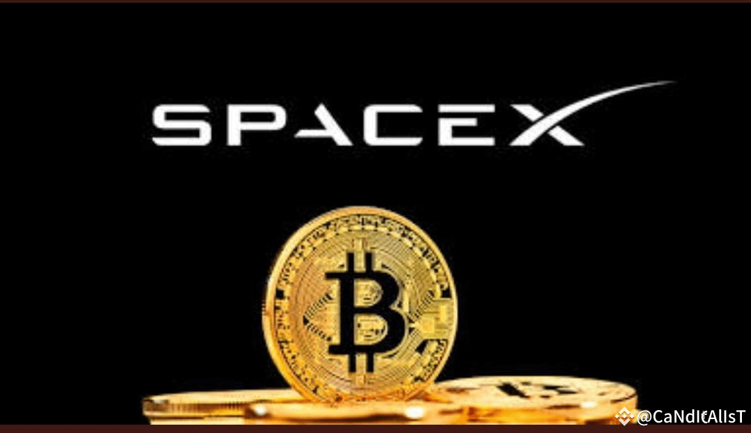 #Cryptolidays SpaceX holds $800M in Bitcoin. $GLM $SPELL | CaNdItAlIsT ...
