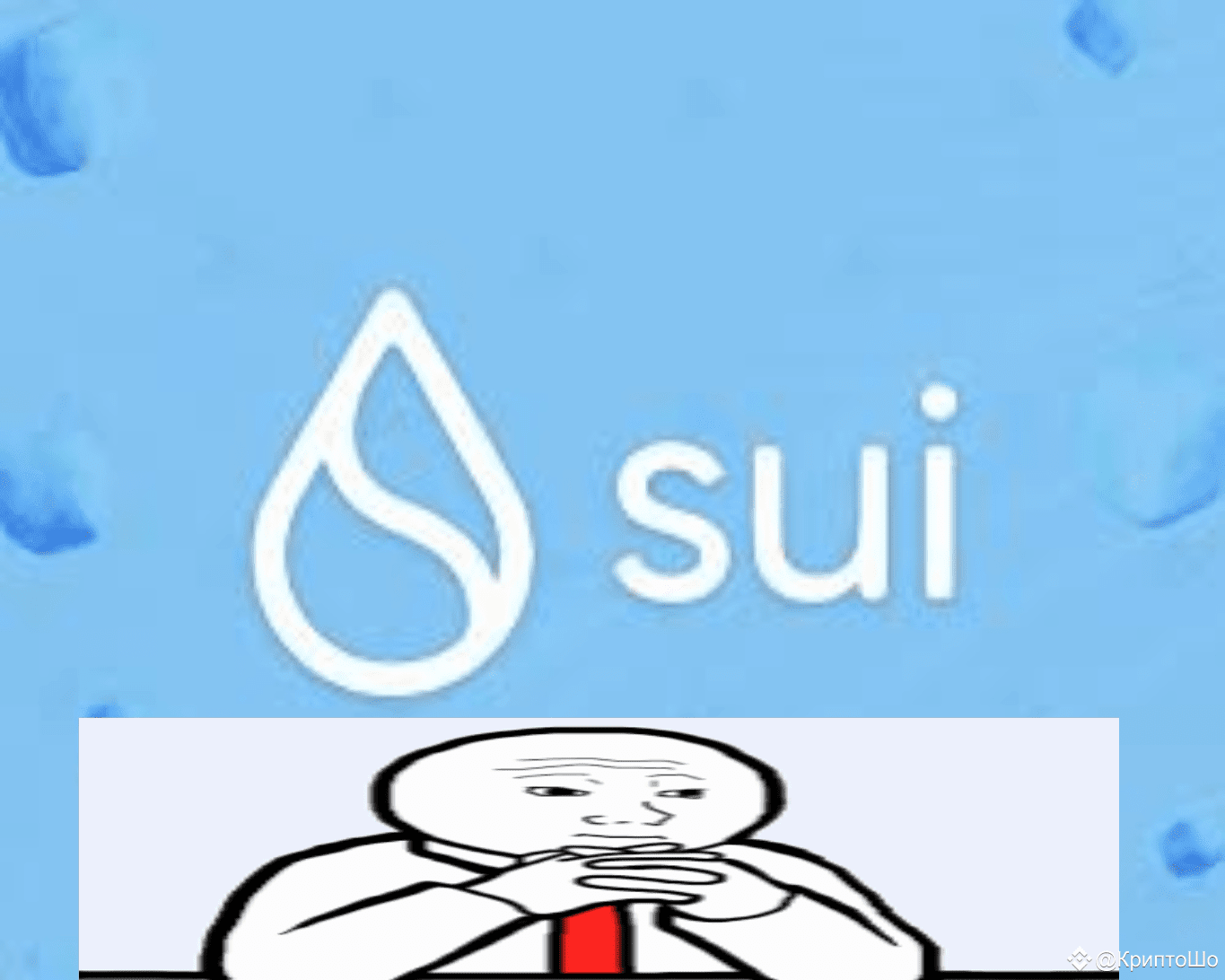Sui — a coin that was written off early Do you remember how | КриптоШо ...