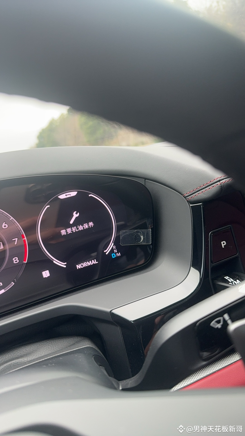 Damn it My car has fallen so much that I don’t even dare to | 男神天花板新哥 ...