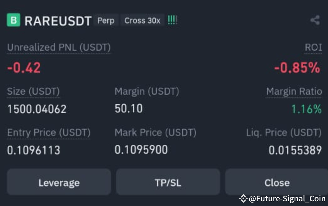 RARE/USDT Long Position Check Trade Position Good Profit Hog | Future ...