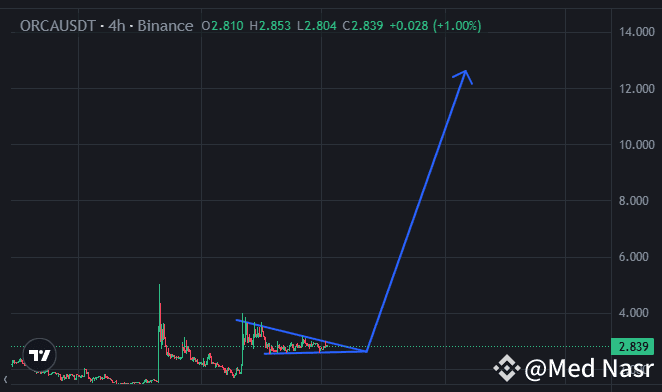 $ORCA is getting ready to soar! 🚀 The 4H chart shows a cle | Med Nasr ...