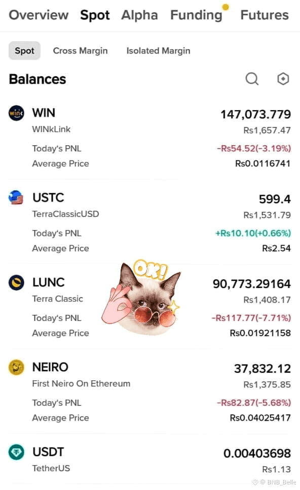 Hey guys, stop and advise me! My holdings: $WIN $LUNC | BNB_Belle on ...