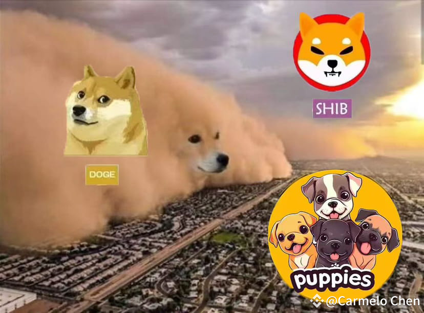 $DOGE I've said that this round is the playground for memes | Carmelo Chen on Binance Square