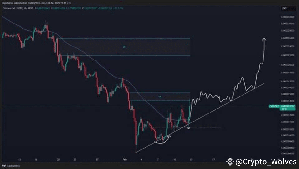 Airdrop sellers are gone. Now $CAT is in strong hands. Next | Crypto ...