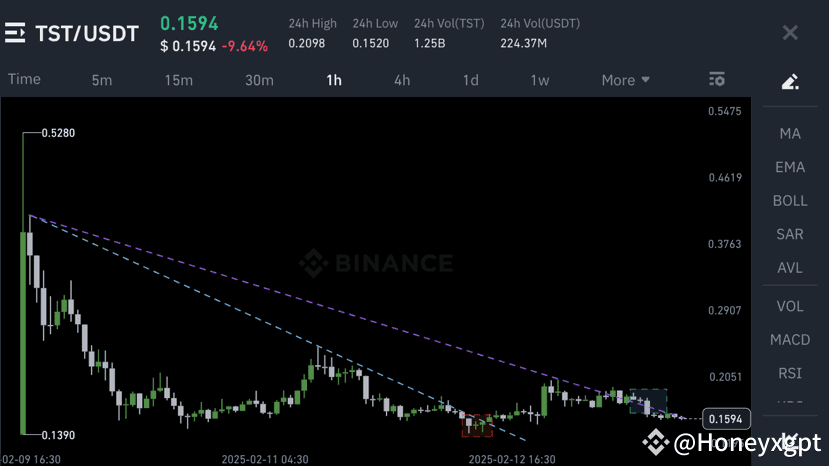 To support $TST meme based on $BNB chain I started a 500 t | Honeyxgpt on Binance Square